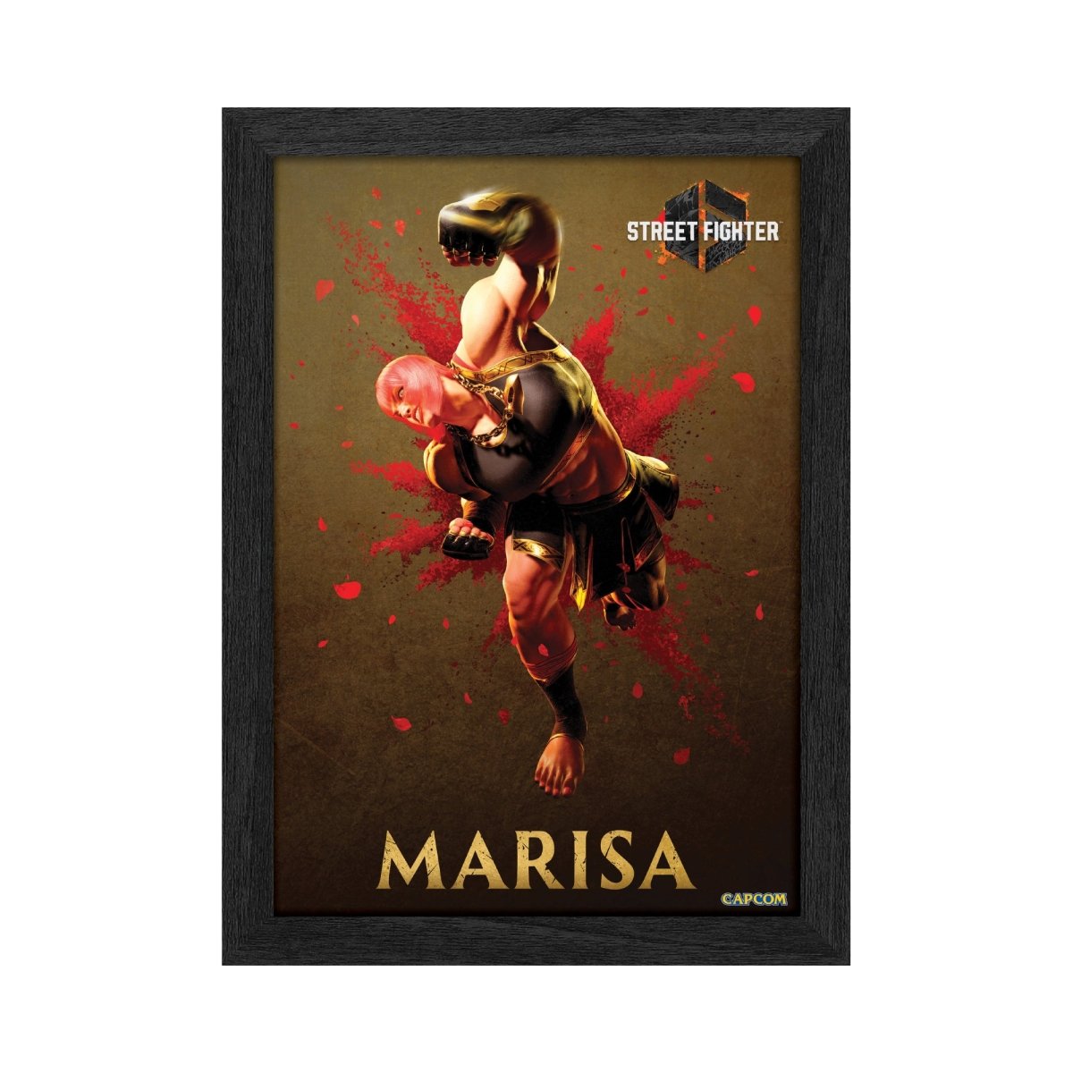 Streen Fighter 6 Marisa lenticular frame art officially licensed 10x12 ...